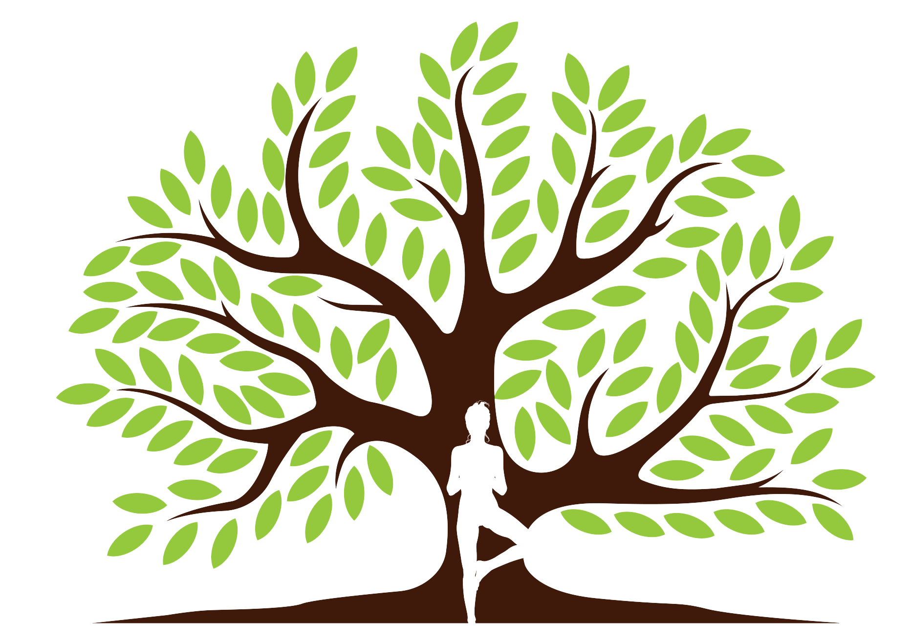 Root 7 Yoga - The Root Studio 7